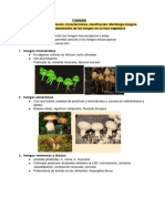 Micología: Morfología y Ultraestructura de Los Hongos'23 | PDF ...