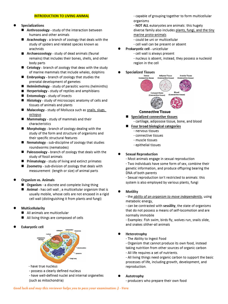 ZOOLOGY-LECTURE-MIDTERM-REVIEWER | PDF ZOOLOGY-LECTURE-MIDTERM-REVIEWER | PDF