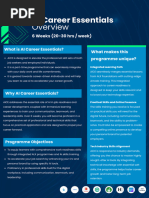 International CV Template Guide | PDF