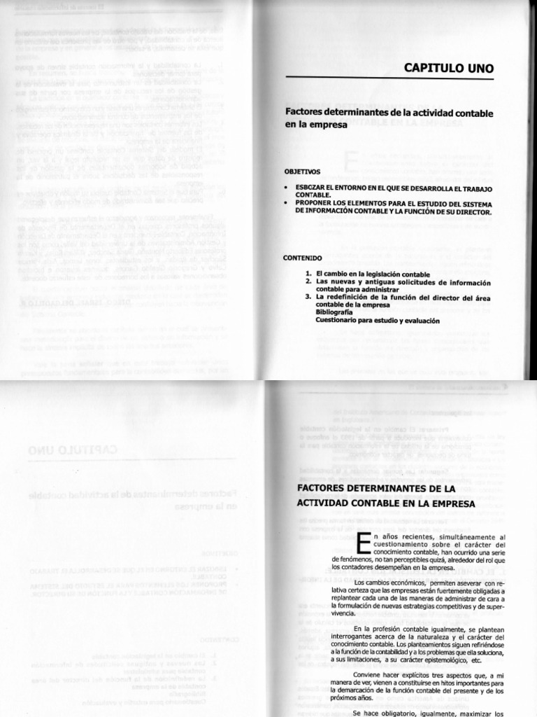 El Sistema de Información Contable - Capítulo 1 | PDF