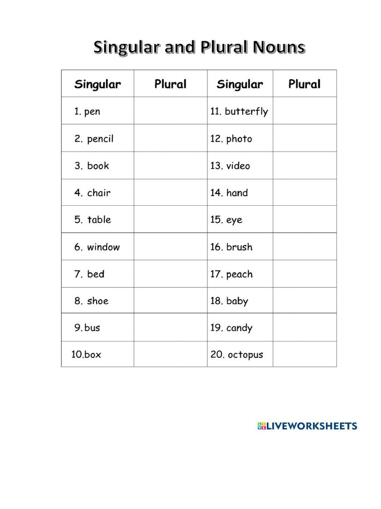 Singular and Plural | PDF