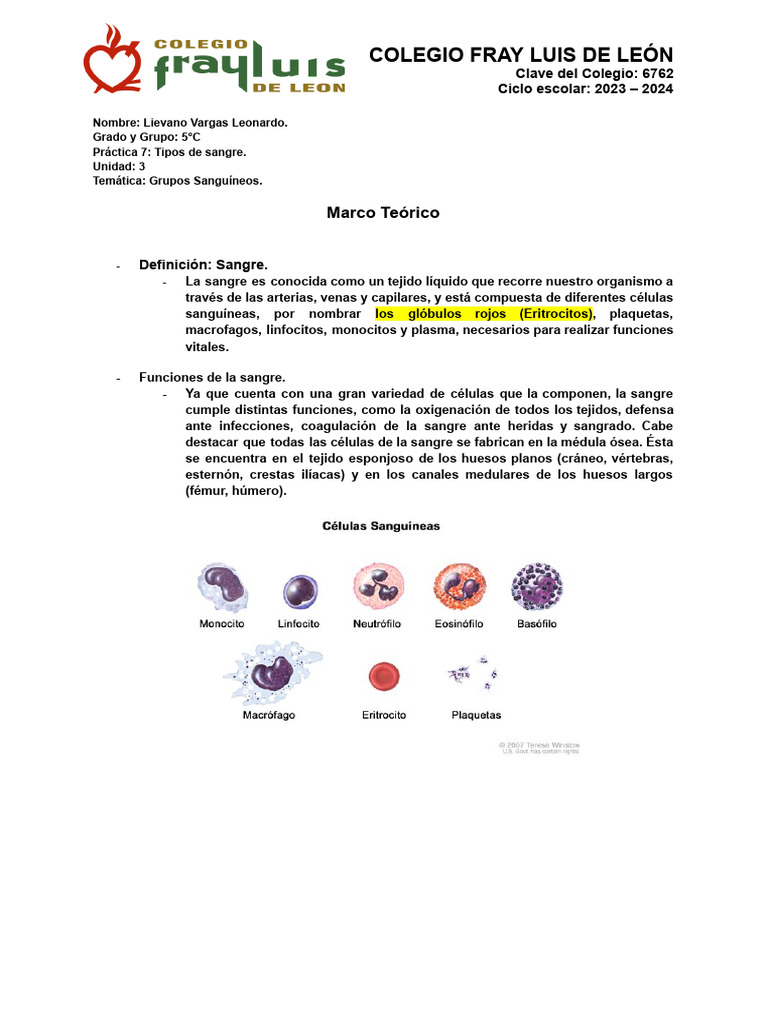 Marco Teórico - Sangre.F | Descargar gratis PDF | Sangre | Tipo de sangre