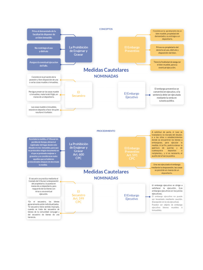 Mapa conceptual Medidas Cautelares | PDF