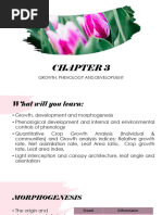 BBCH Scale: A Global Phenology Tool | PDF | Cucurbita | Cabbage