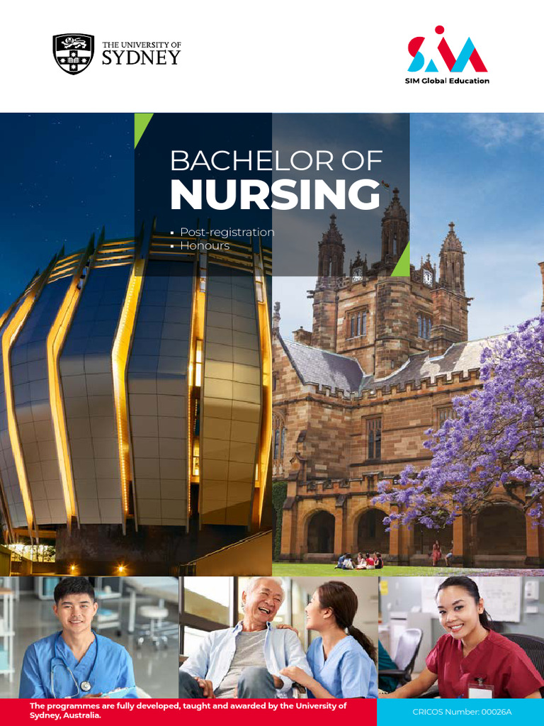 Sim-Usyd Nursing Brochure | PDF