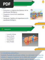 Aportes de Herófilo y Erasístrato en Alejandría | PDF | Alejandria