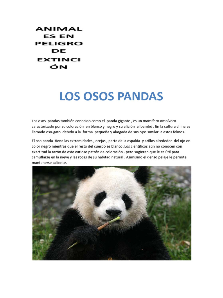 Fascinante Mundo del Oso Panda | PDF | Cocina, comidas y vino | Hogar ...