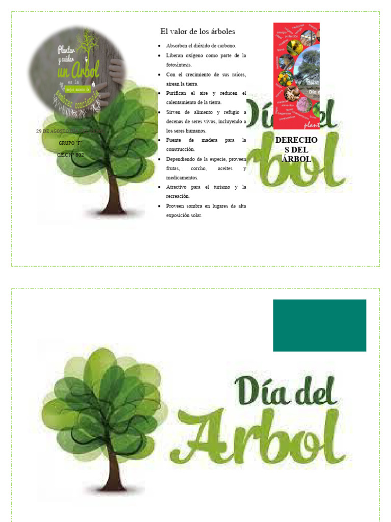 29 de Agosto Día Del Árbol Folleto | PDF