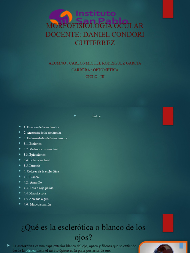 Anatomia de La Esclerotica | PDF