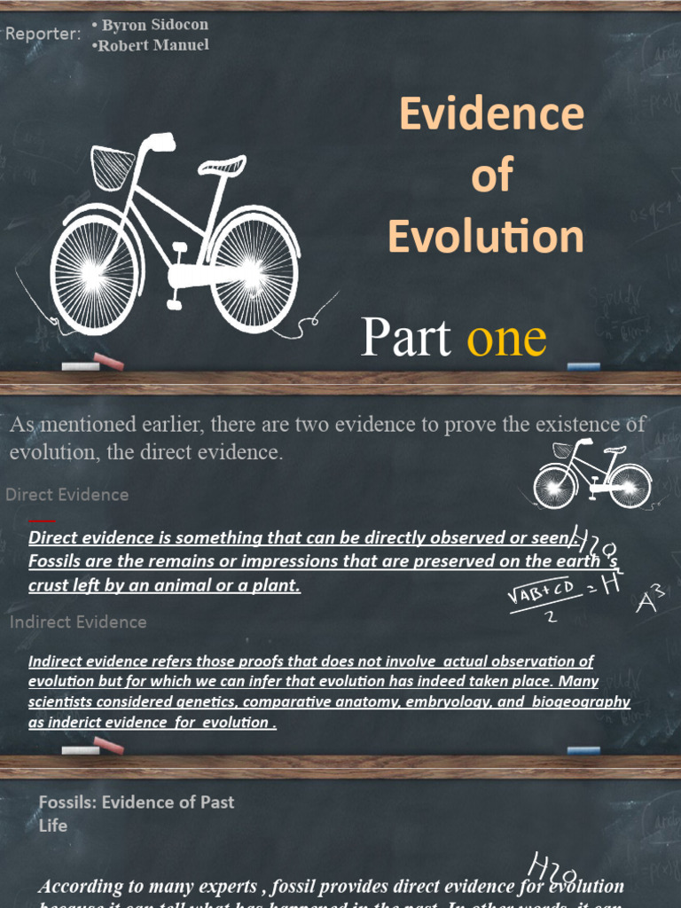 11 - Evidence of Evolution | PDF | Homology (Biology) | Fossil