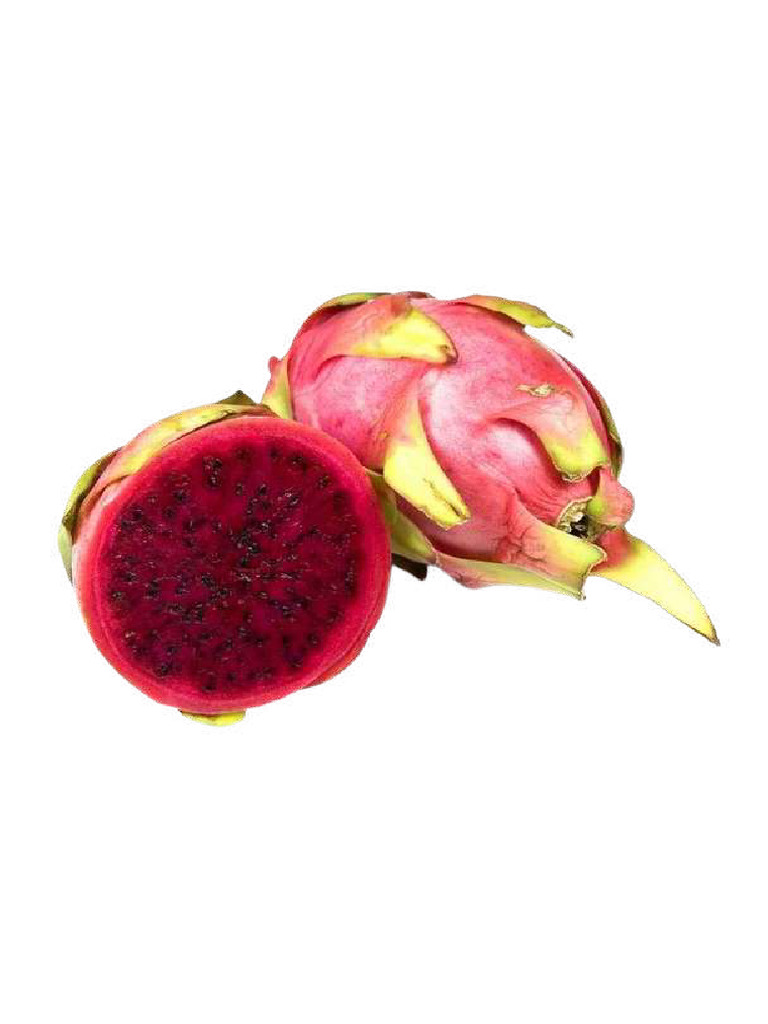 Anggur-removebg-preview-3 | PDF