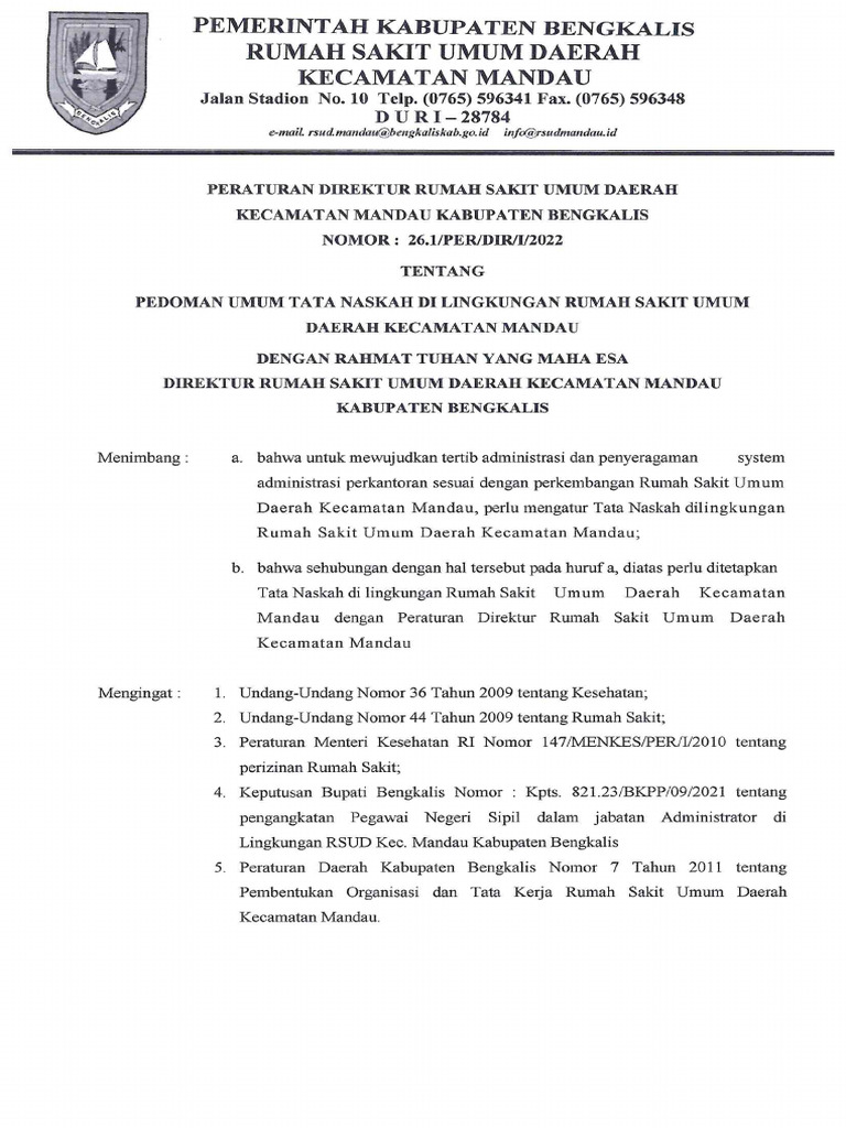 Pedoman Tata Naskah Rsud Mandau | PDF