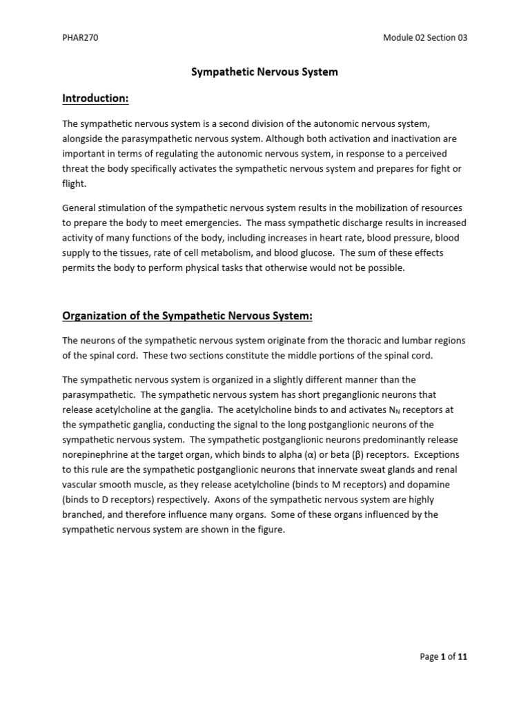 DBMS Notes - Module 02 Section 02 Sympathetic Nervous System | PDF ...