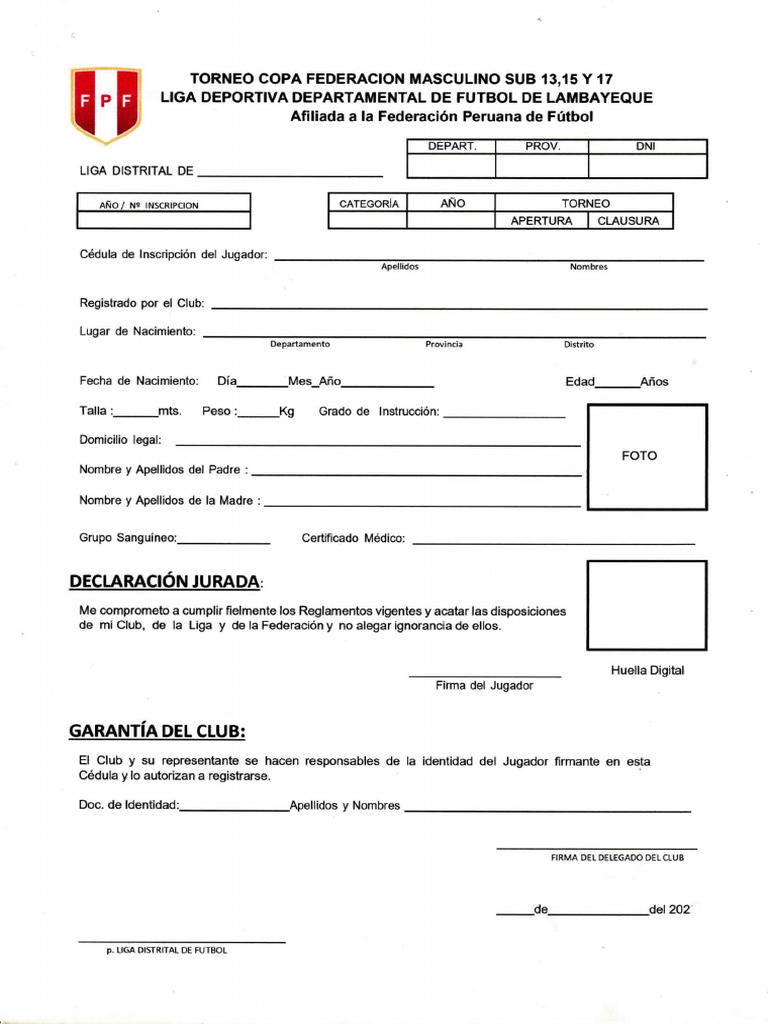 Formato Federacion | PDF