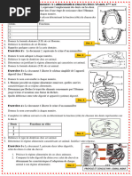 Cours SVT 1AC : Leçons et Activités | PDF | Réseau trophique | Fossile