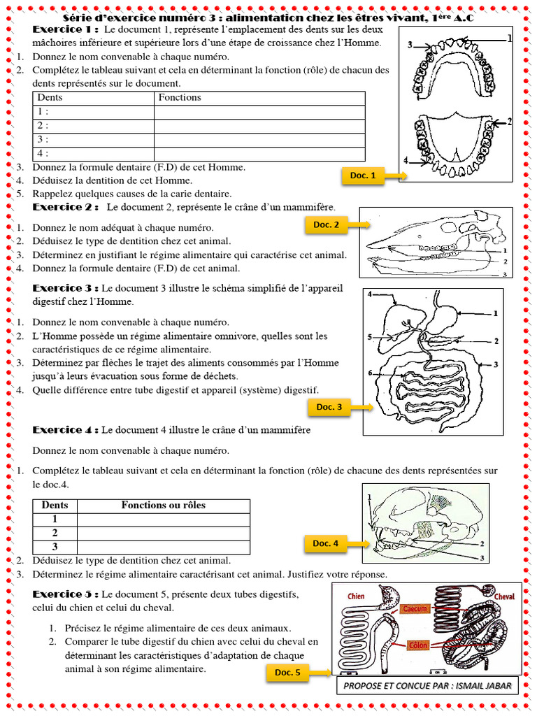Alimentation et dentition des animaux | PDF | Dent | Tractus gastro ...