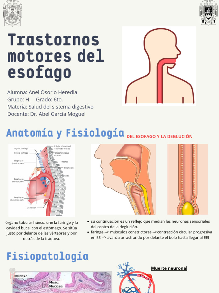 Trastornos motores del esófago: causas y síntomas | PDF | Esófago ...