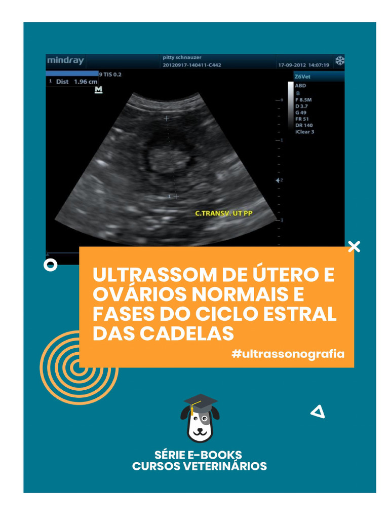 Ebook - FASES DO CICLO ESTRAL DE CADELAS | Download grátis PDF | Sistema endócrino