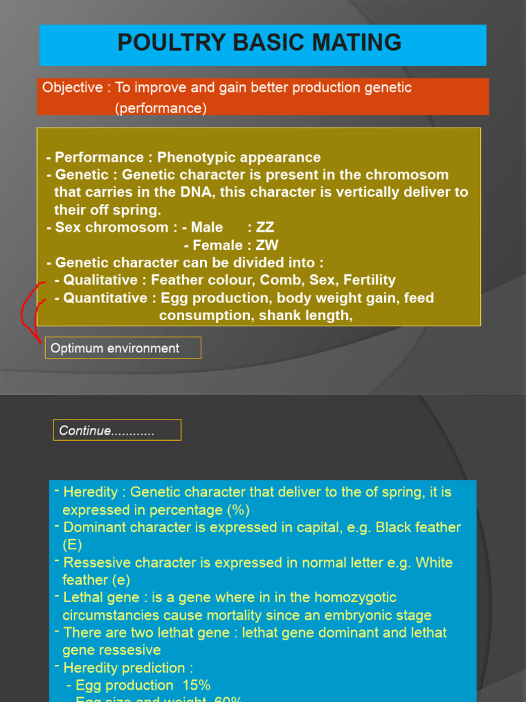 Poultry Basic Mating | PDF | Mating | Male