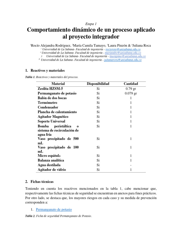 Practica Proyecto Integrador | PDF