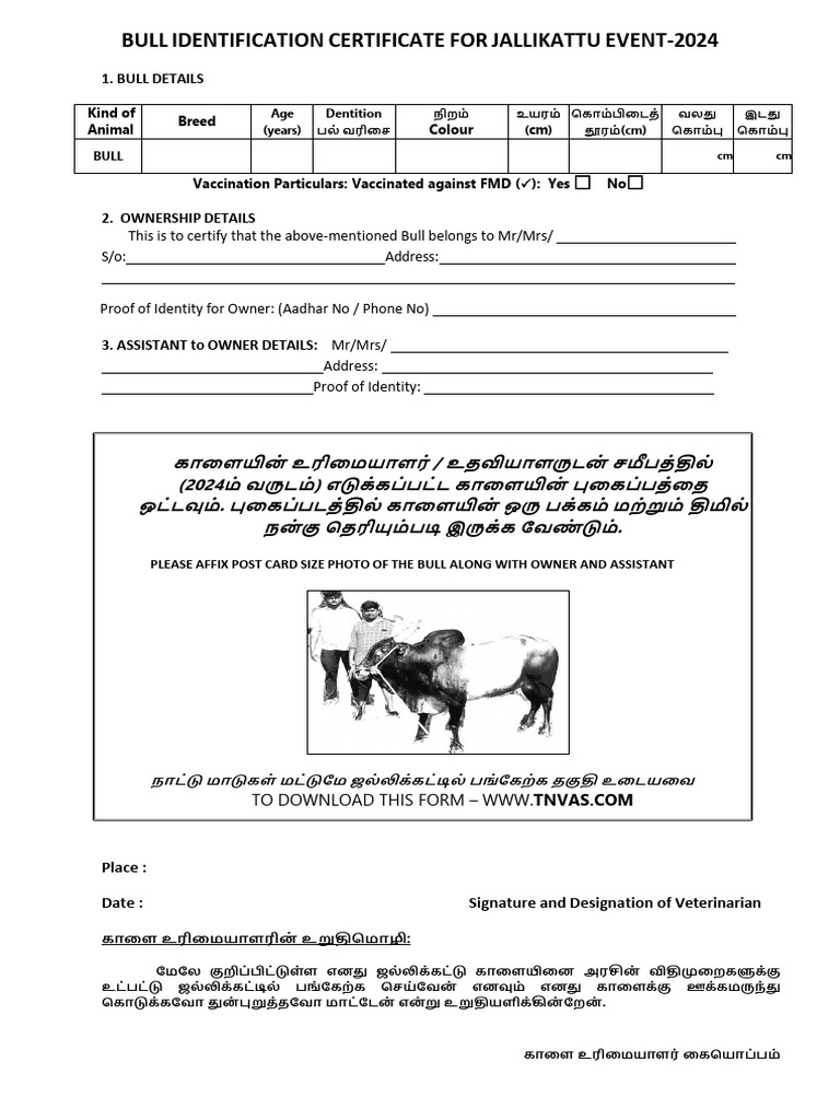 Bull Identification Certificate 2024 - 1 1 | PDF