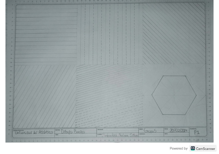 P1 Sebastián Natera | PDF