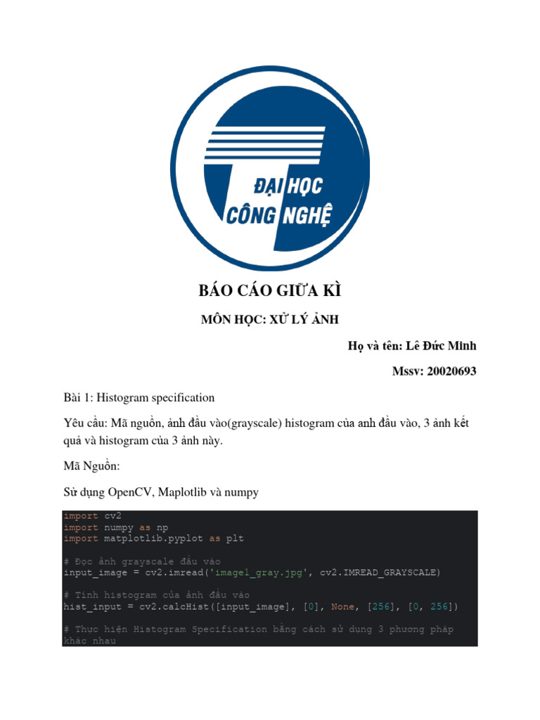 Báo Cáo Gi A Kì - Xla | PDF