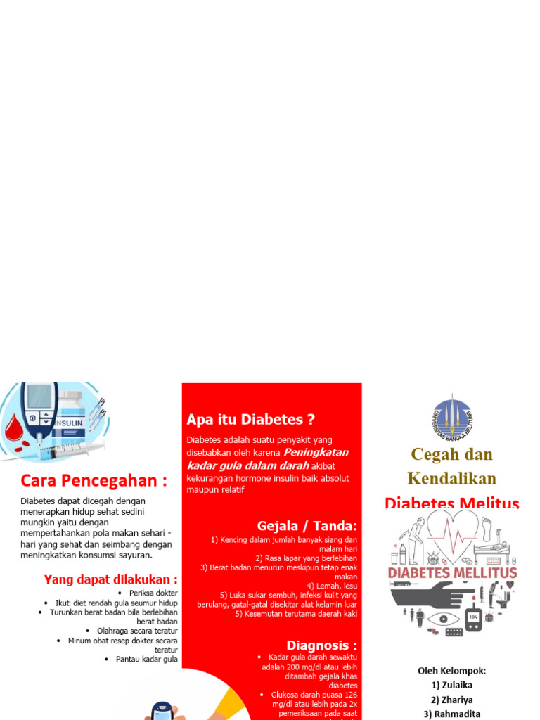 Leafet Kesehatan | PDF