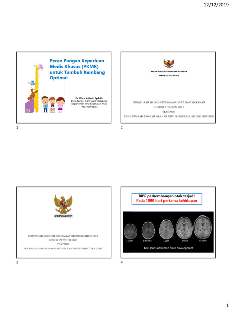 PKMK Persagi 14122019 | PDF