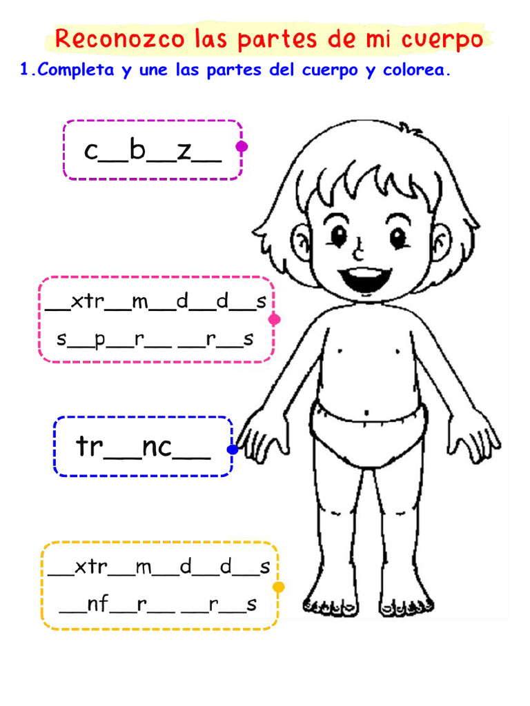 Ficha Partes Del Cuerpo 2024 Maestra Pdf