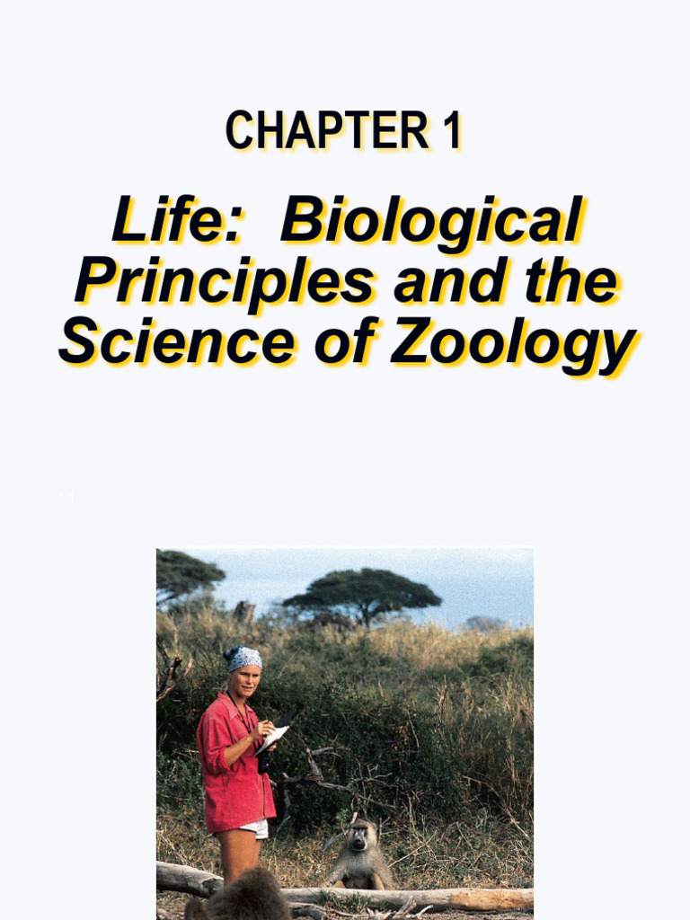 Chapt01 - Intro To Zoo | PDF | Zoology | Life