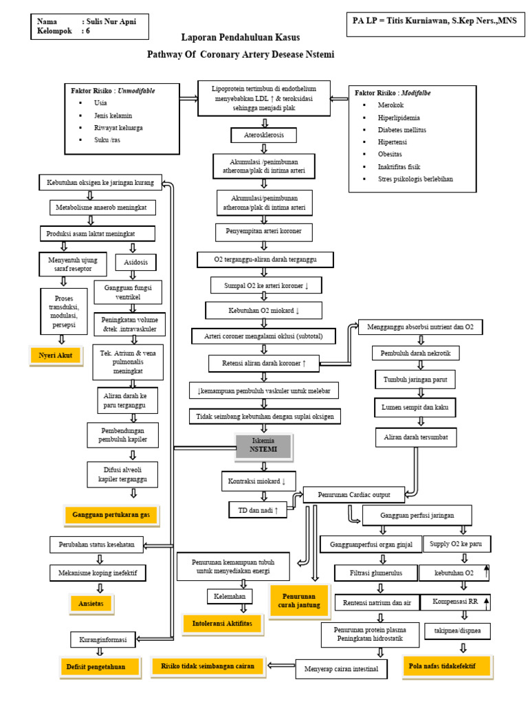 LP - Cad Nstemi | PDF