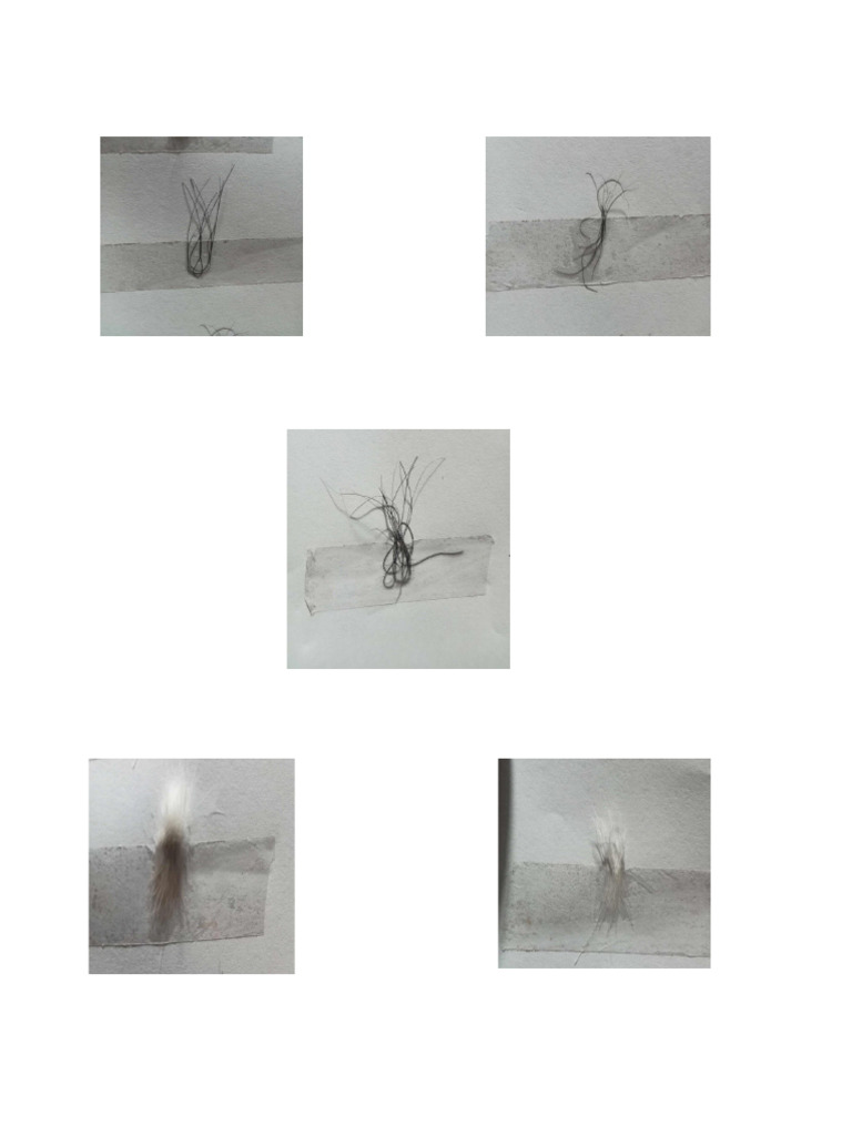 Hair | PDF