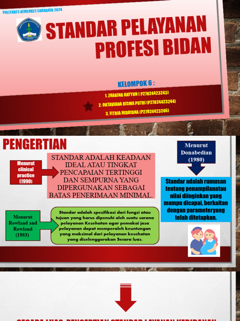 Managemen Standar Pelayann Profesi Kebidanan | PDF