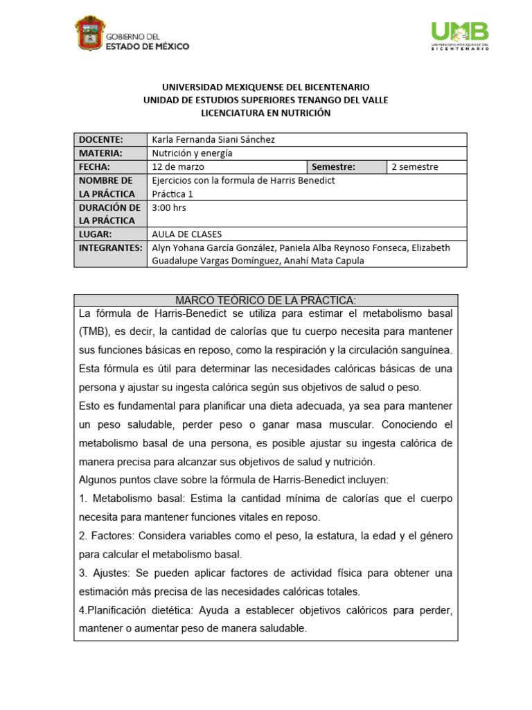Formato De Practica Pdf