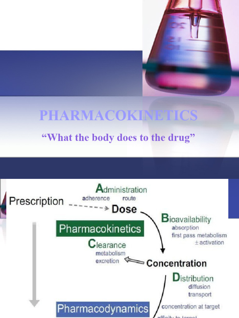 Pertemuan 10-11 Farmakologi 2023 | PDF | Bioavailability | Medical Treatments