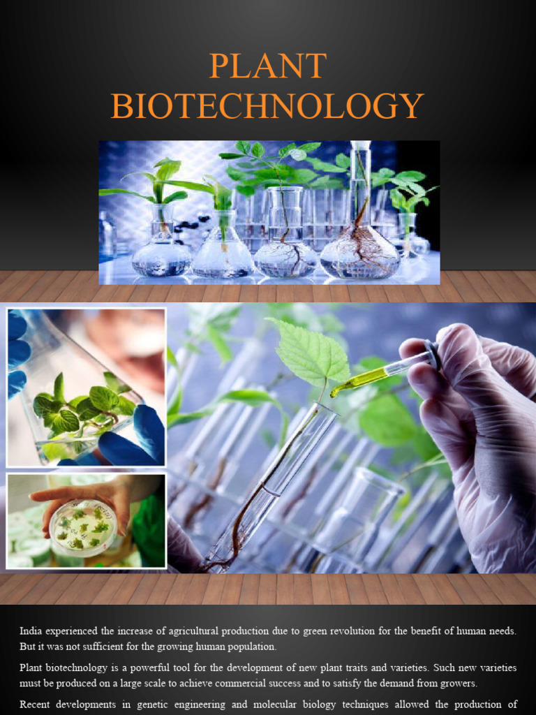 Importance of Plant Biotechnology | PDF