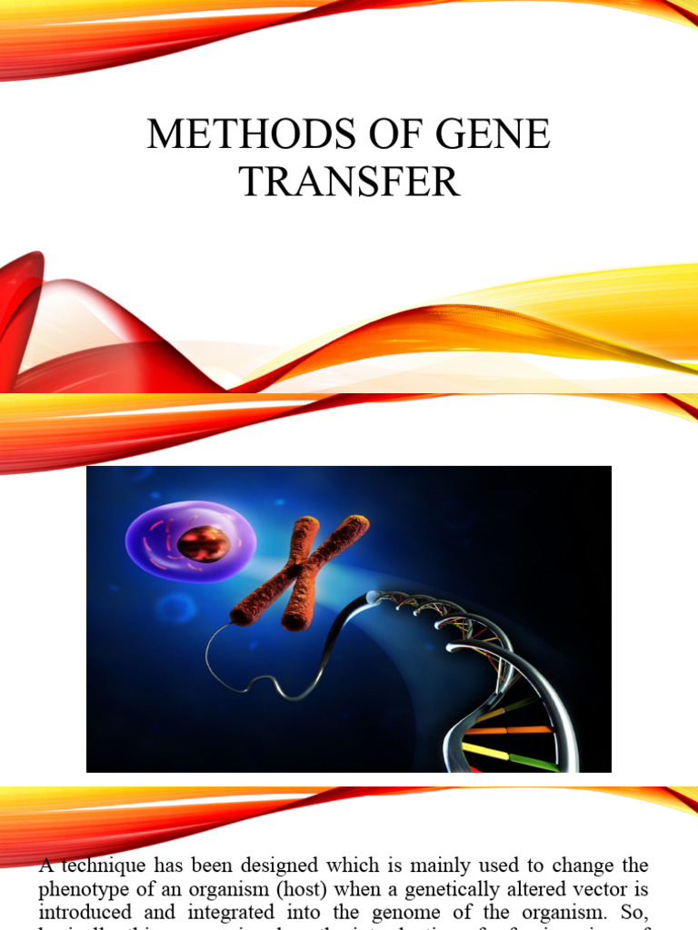 Methods of Gene Transfer | PDF | Plasmid | Genetic Engineering