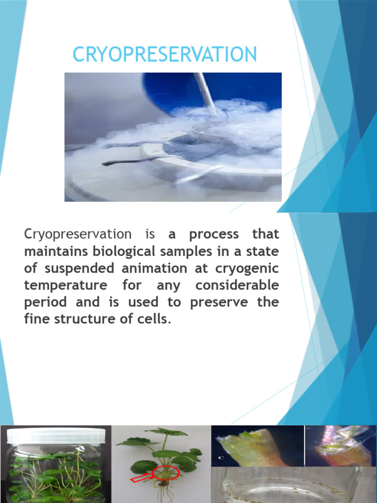 Cryopreservation | PDF