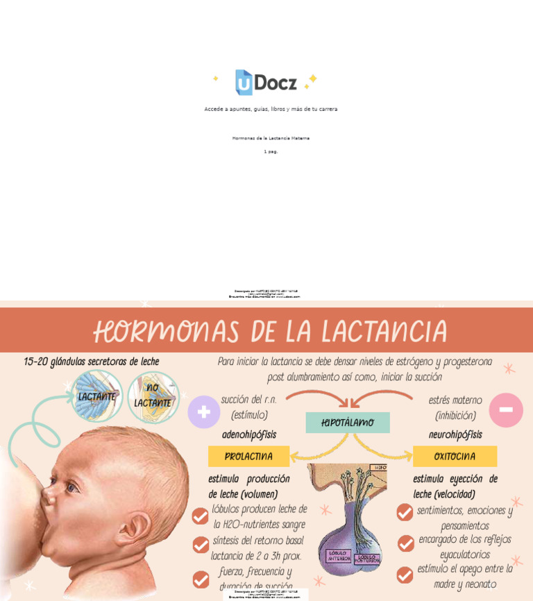 Hormonas de La Lacta 346390 Downloadable 1718145 | PDF | Lactancia | Mamíferos Hembras