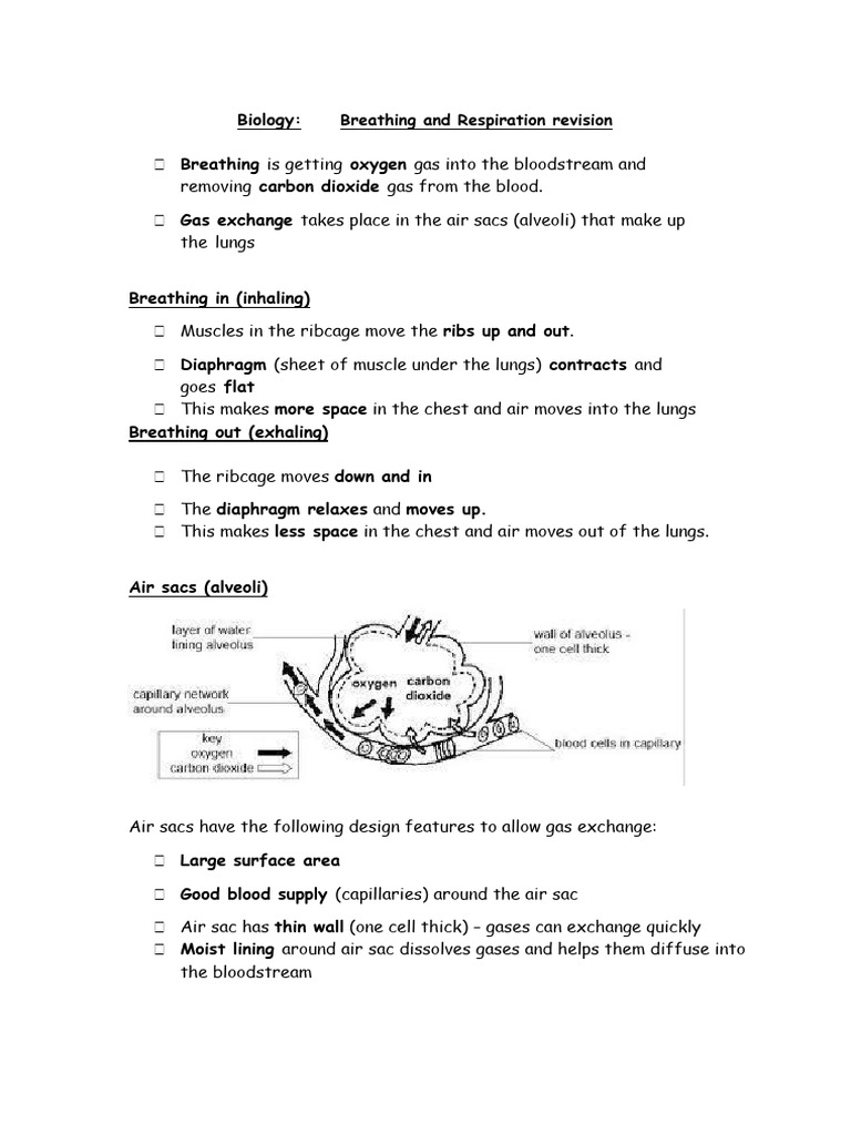 Science Revision Note | PDF | Respiratory System | Solar System