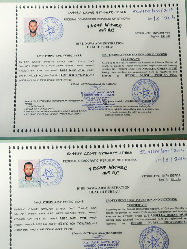 Nurse Professional Licenses | PDF