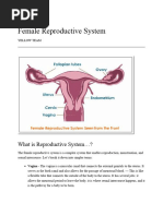 The Anatomy of Cattle Reproductive System | PDF | Luteinizing Hormone ...