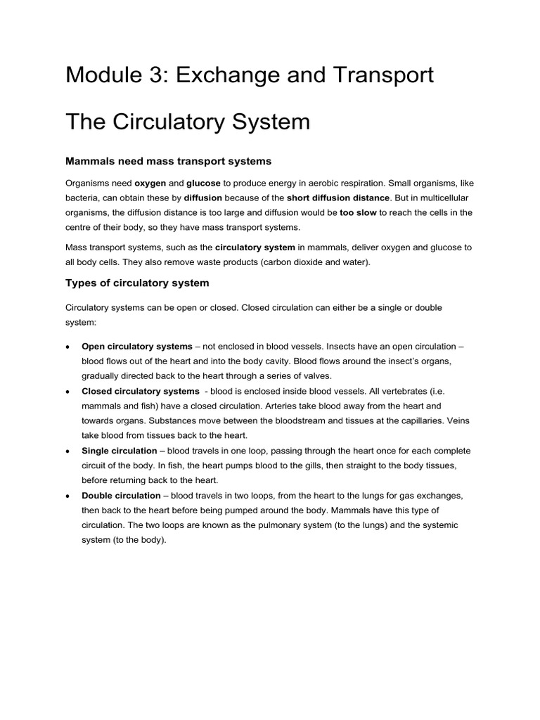 Module 3 The Circulatory System | PDF | Atrium (Heart) | Heart