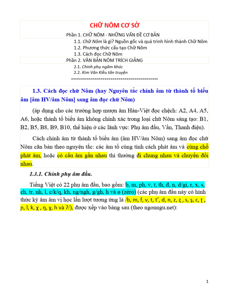 2021 - NHUNG VAN DE CO BAN CUA CHU NOM - Chinh - Am | PDF