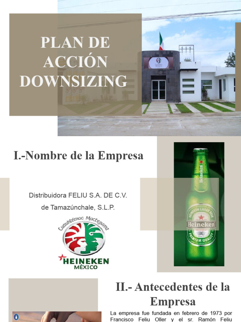 Plan de Accion Downsizing | Descargar gratis PDF | Business | Economias