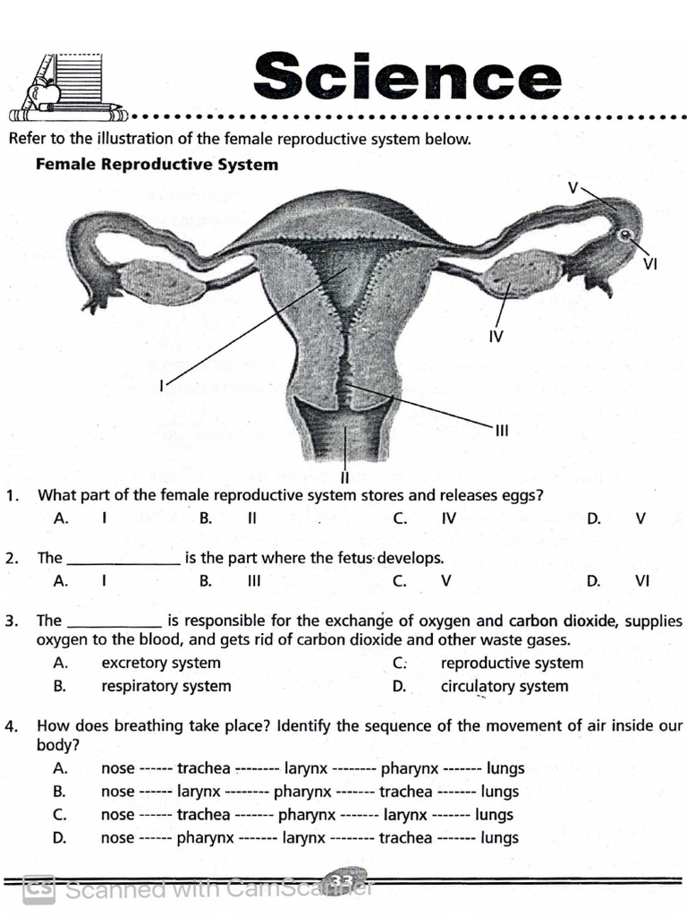 SCIENCE NAT SET 1 | PDF