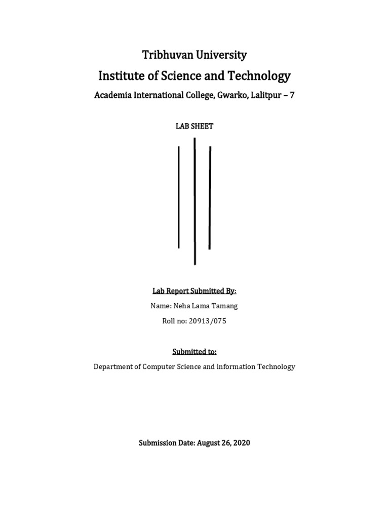 Cn Labsheet 1 Pdf Ip Address Domain Name System