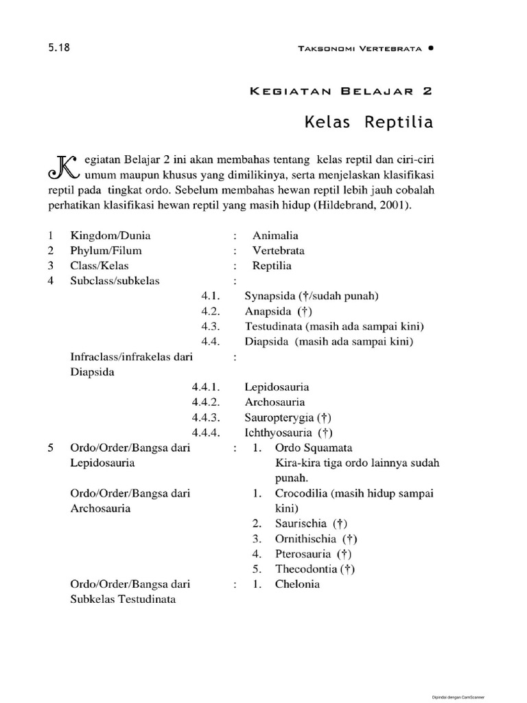 Reptil | PDF
