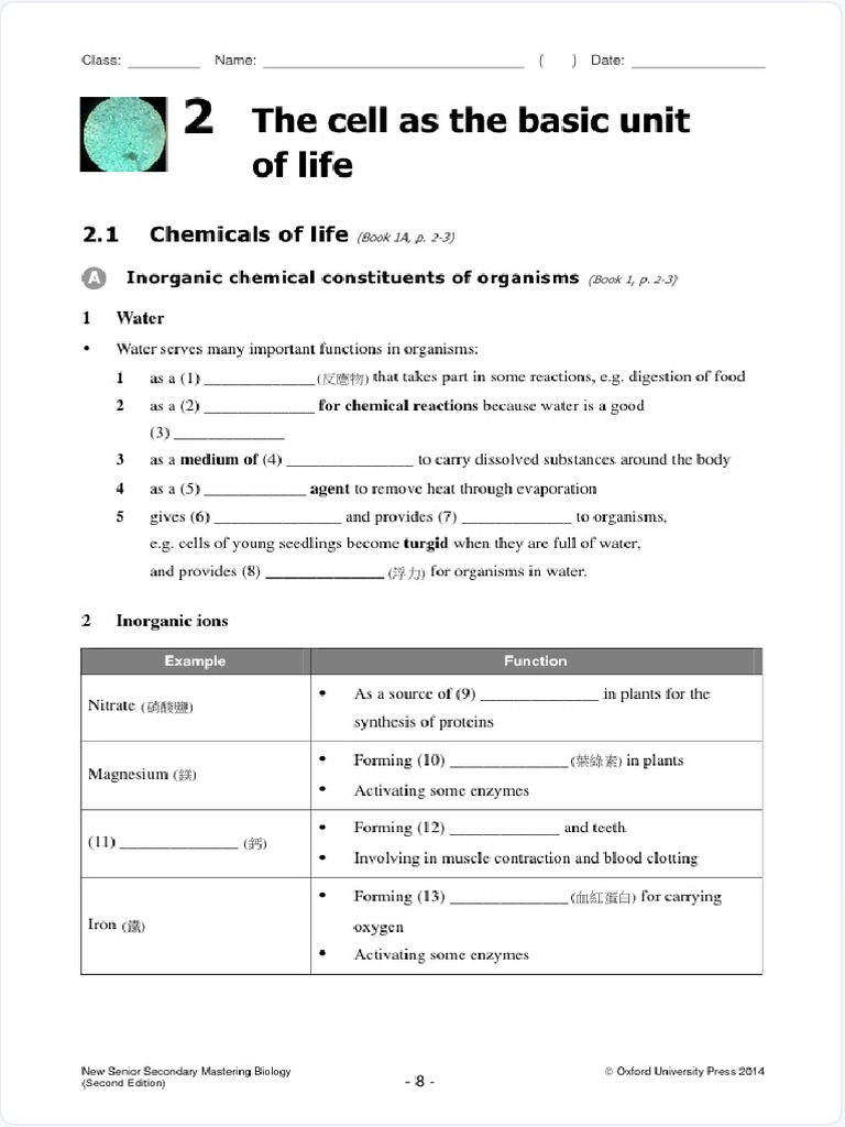 The Cell As The Basic Unit of Life | PDF